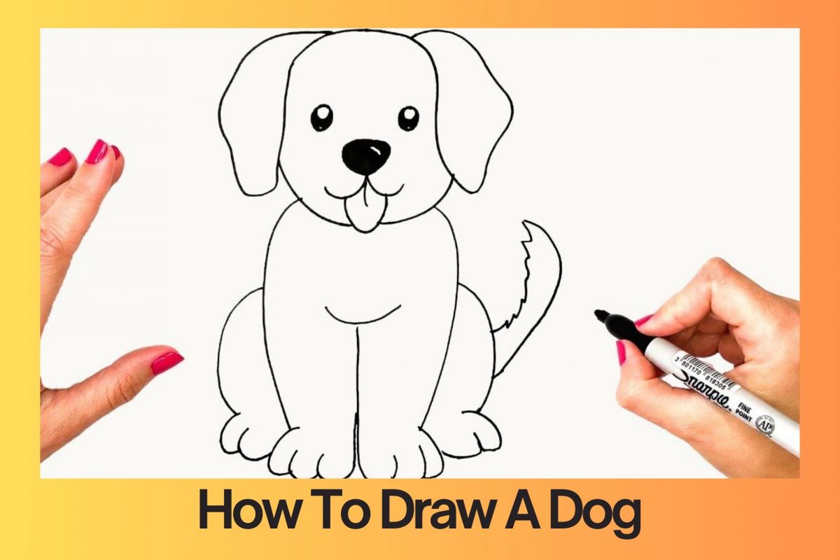 How To Draw A Dog - Fitness Beauty Art