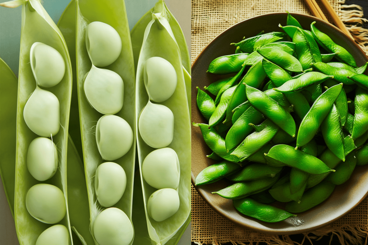 Lima Beans Vs Edamame – Understanding the Nutritional Differences ...