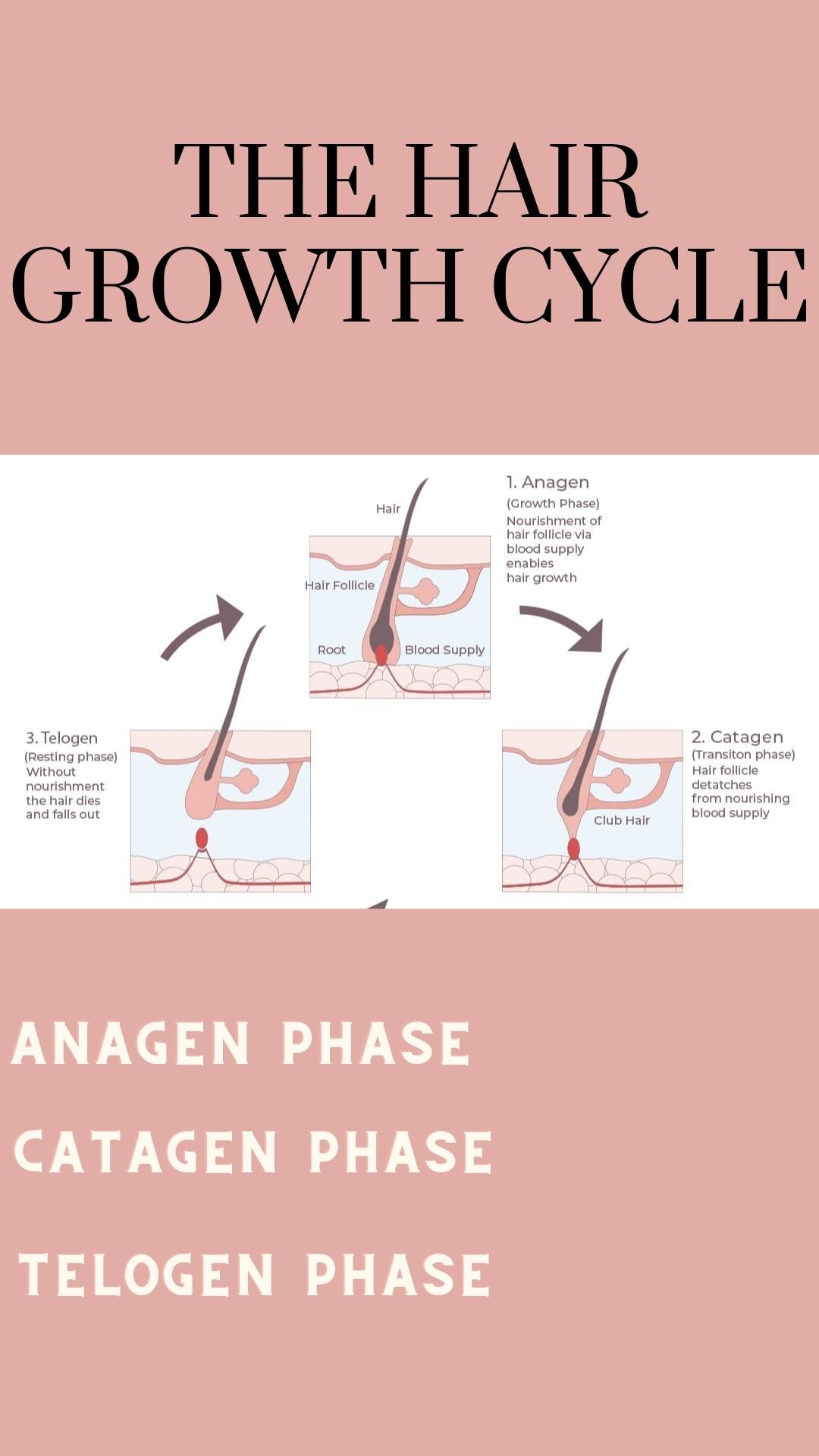 When Eyebrows Grow Back - Fitness Beauty Art