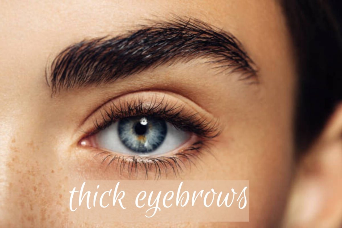 How Get Thick Eyebrows - Fitness Beauty Art