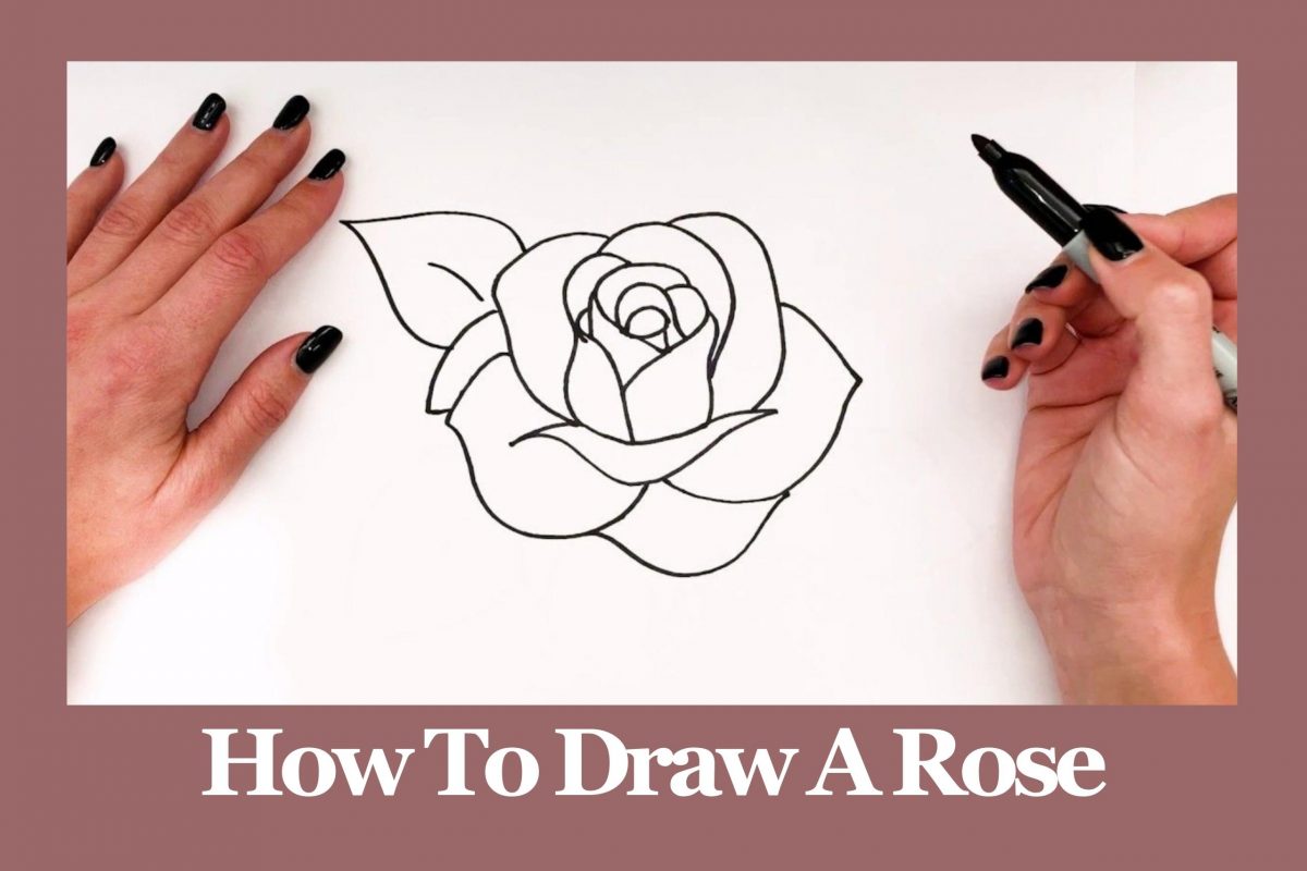 How To Draw A Rose - Fitness Beauty Art