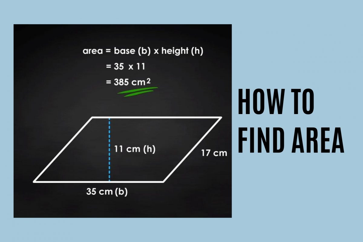 How To Find Area - Fitness Beauty Art